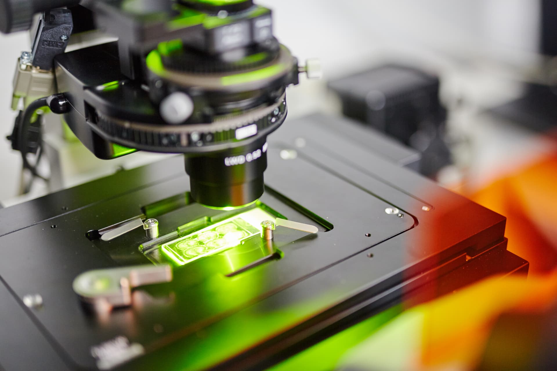 Advancing cutting-edge science for oncology patients globally